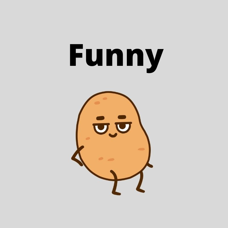 Funny theme - WowWaves: Hilariously Stylish Clothing – Wow Waves